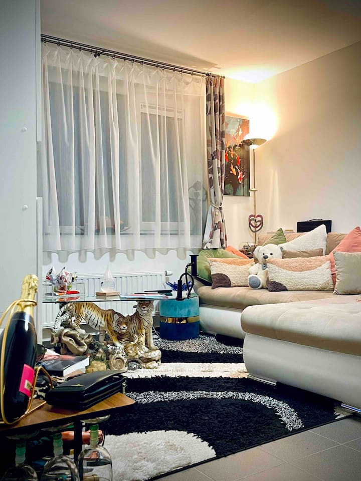 Chambre Privative Dans Un Appart - Namur