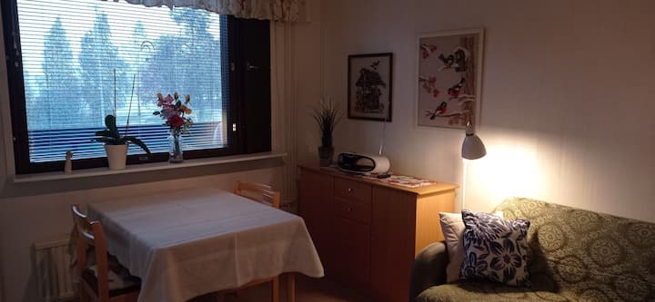 Yksiö 30 M2 Keskustassa - Kuhmo