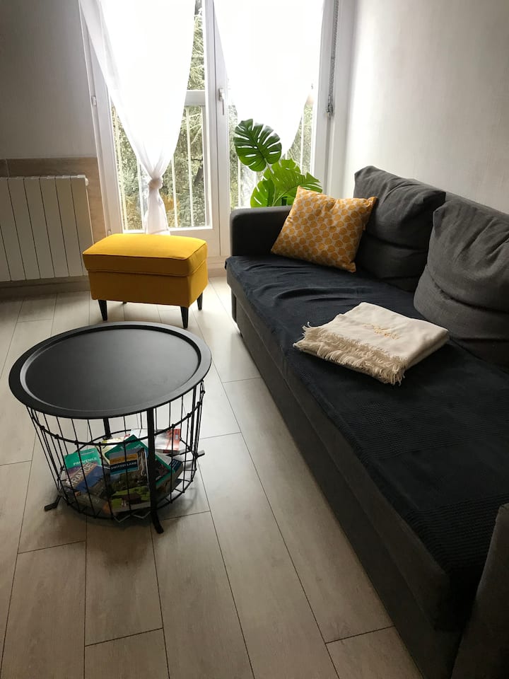 @ Appartement Cassiopée*** - Colmar Petite Venise - Colmar