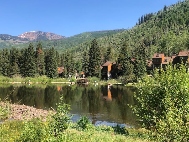 Newly Renovated, 3 Bd, 3 Bath On Shuttle Route - Vail, CO
