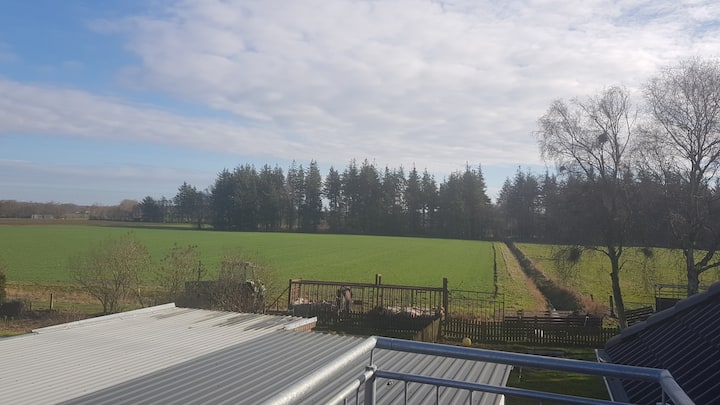 Ferienwohnung Alame - Leck