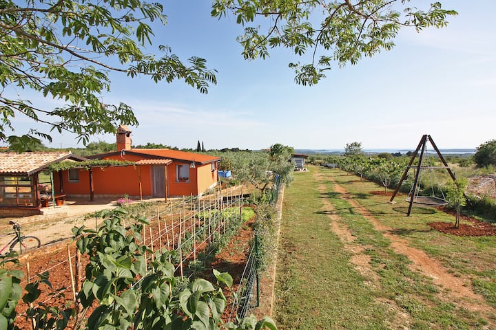Summer House For Family With Kids - Vodnjan