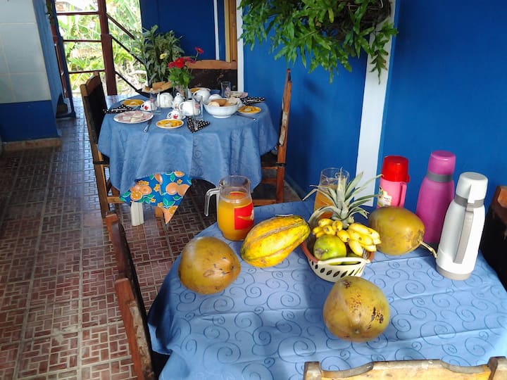 Las Palmeras+terraza Con Vista Al Mar +Wifi Free - Cuba