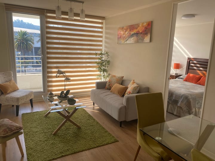 Depto Collao 2 Dormitorios Seguro, Céntrico, Estac - Concepción