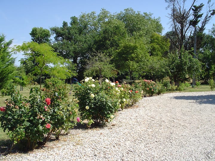 Grands Gites Pierre Océan Vigne Medoc - Lesparre-Médoc
