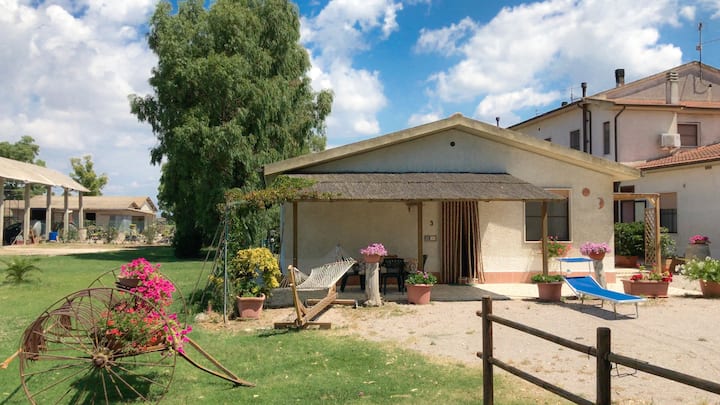Agriturismo 3 E 4:vacanze A Contatto Con La Natura - Marina di Grosseto