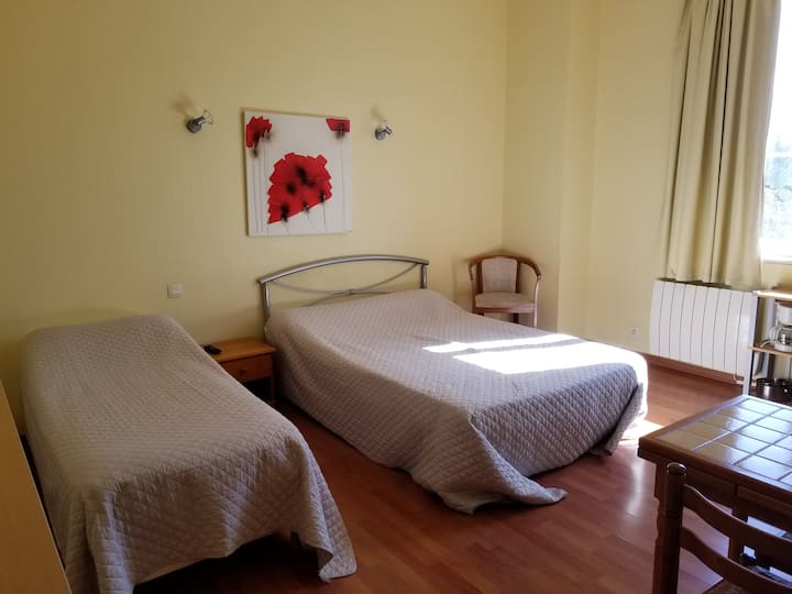 Studio éQuipé Triple Dans Un Château - L'Isle-Jourdain