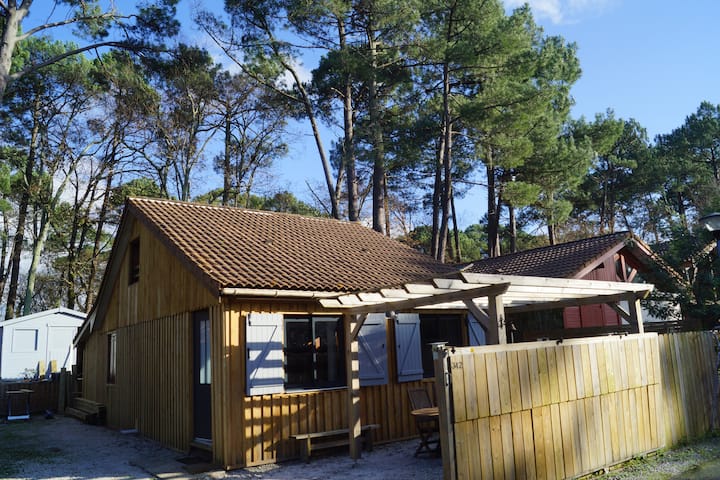 Chalet Bassin D Arcachon Au Milieu Des Pins - La Teste-de-Buch