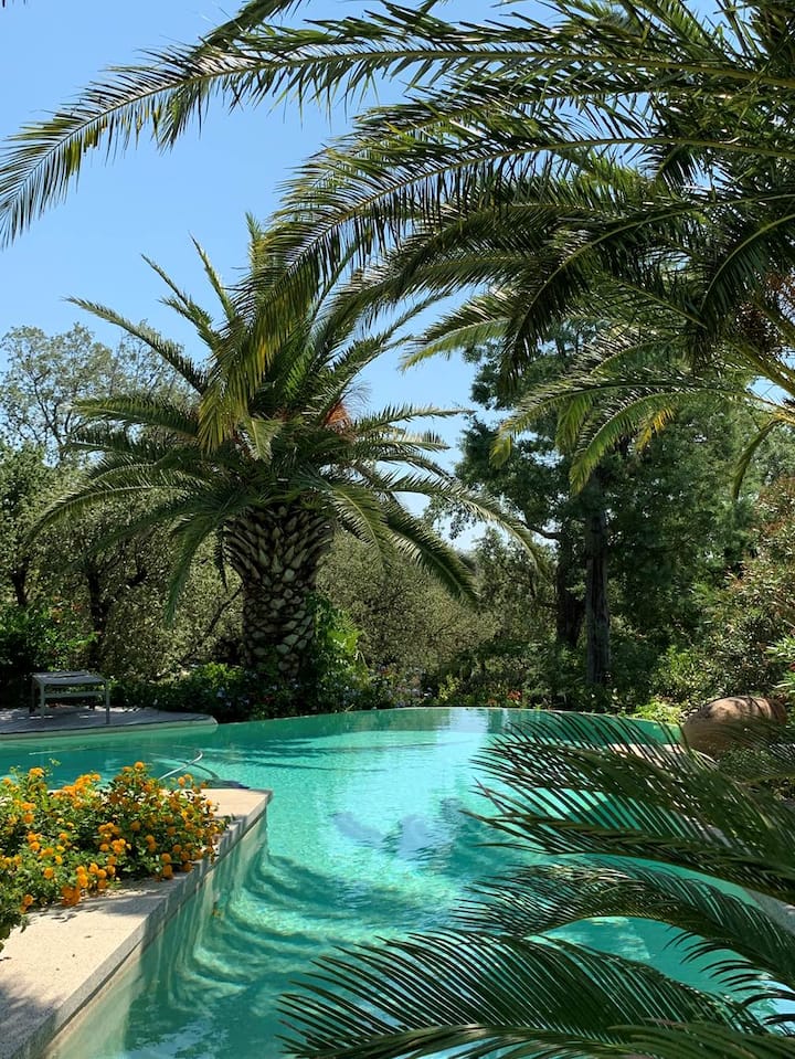 Appartement De Charme Proche Mer Et Ville - Porto-Vecchio