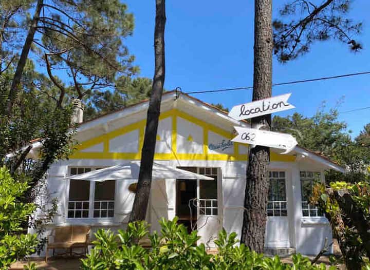 Villa Oraihola Lacanau Océan Plage Sud - Lacanau