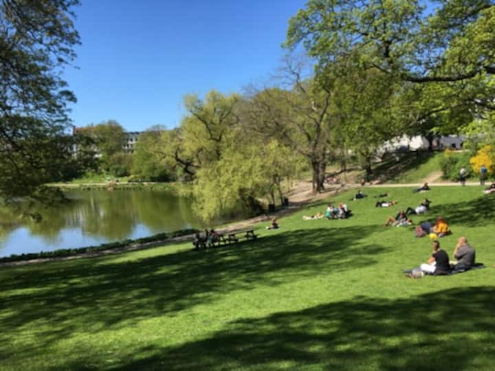 Super Central, Charming Roof Top View Of Cph - Copenhagen