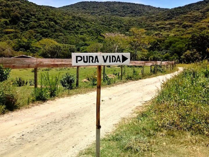 Home Office: Nature Is Your New Colleague - Florianópolis