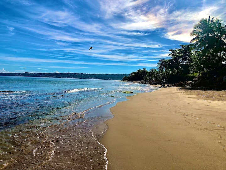 King Bed Ocean Front Property Beach View & Pool - Aguadilla