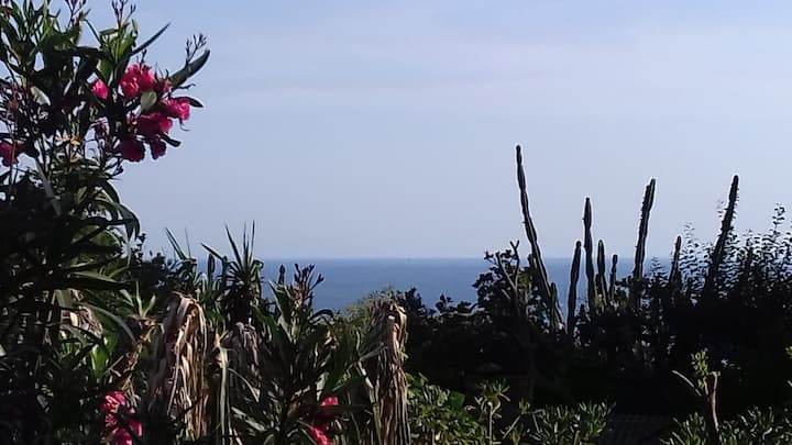 Magie De L'île Du Levant Dans Un éCrin De Verdure - Parc national de Port-Cros