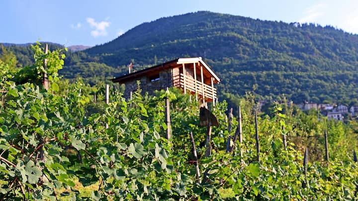 "Una Casa Tra Gli Alberi" B&b Oasi Biodinamica - Sondrio
