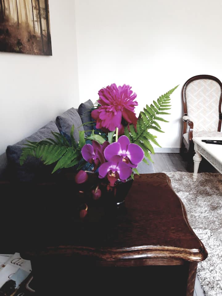 Logement Cosy Proche De La Gare - Auxerre