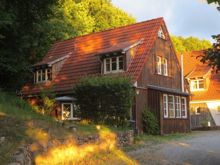 Blick Ins Rheintal - Bensheim
