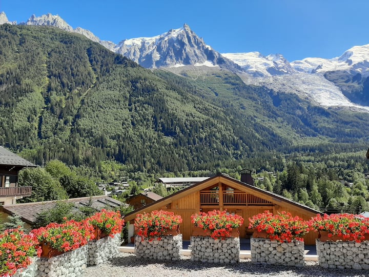 Chaleureux Et Spacieux Appartement Chamoniard - Chamonix
