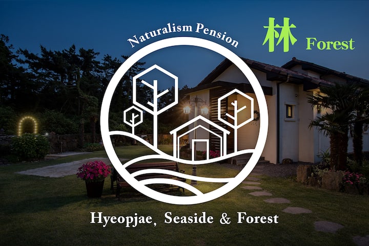 (림) 협재 바닷가 그리고 숲속 (협해림) - Jeju-si