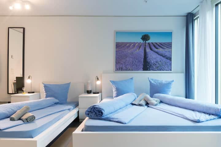 1.5 Room Apartment Gletschergarten Iii - Lucerne