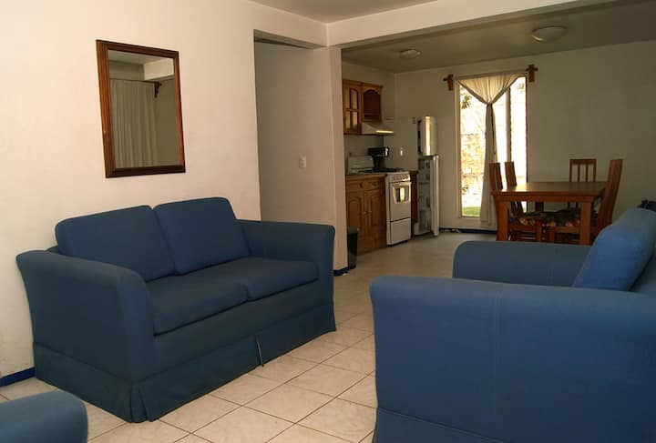 Amplio Departamento En Zona Centro - Oaxaca