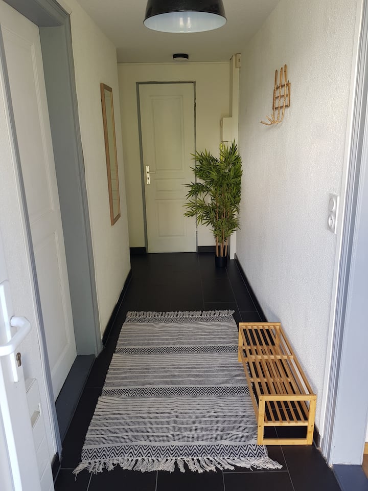 Bel Appartement Avec Parking Gratuit En Face. - Thann