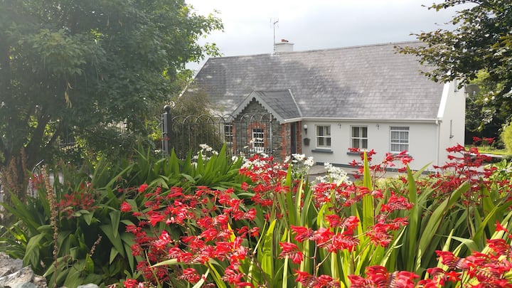 Modern 2 Bed Apartment. - Killarney