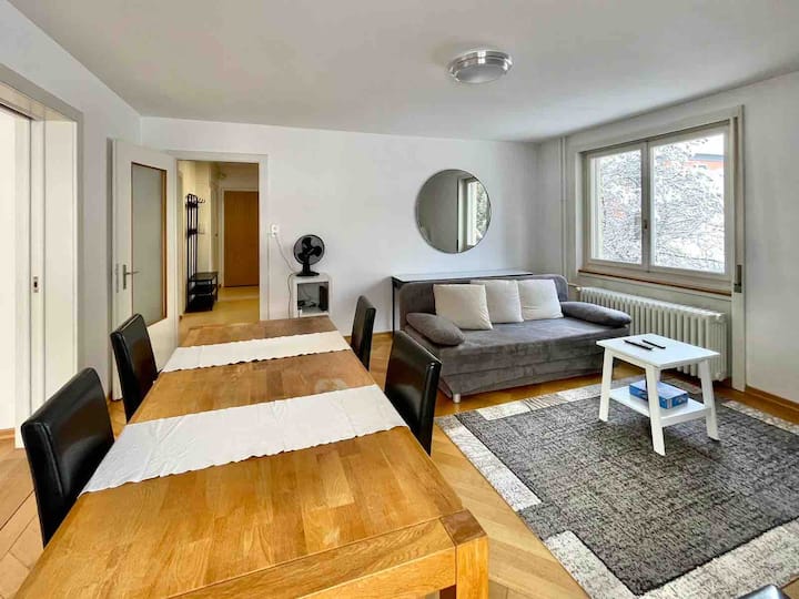 Comfortably Furnished Apartment In Zurich - Zurich