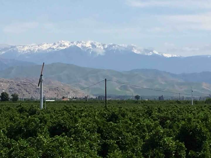 Neeley Ranch, Lindsay, Ca - Porterville, CA