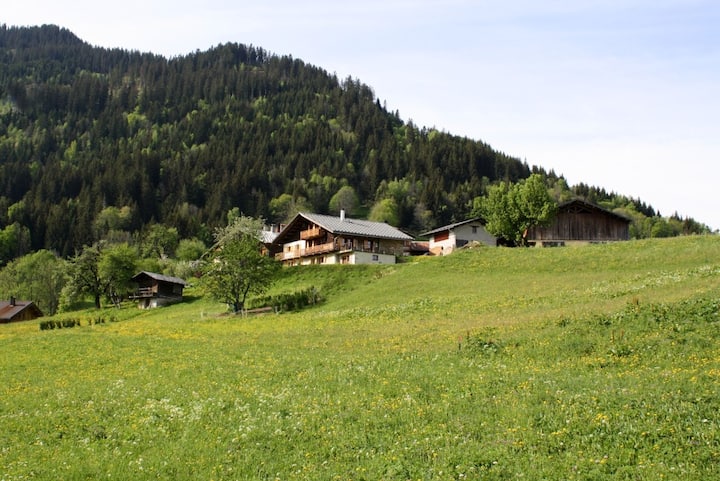 Chalet Du Bersend-studio Outray - Lac de la Girotte