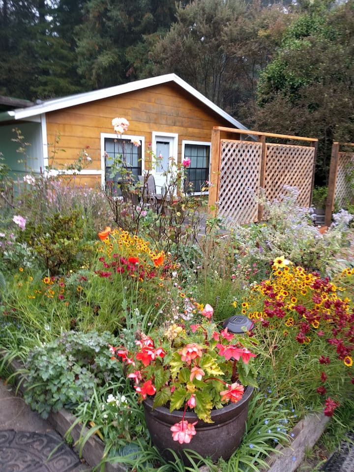 Eco Conscious Studio In Trinidad - Trinidad, CA