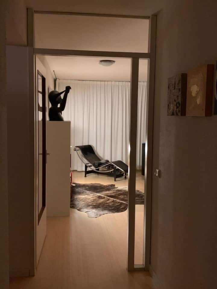 Amazing And Modern City Centre Apartment - Amsterdam