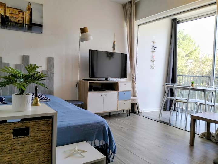 Studio Cosy 5 Min Des Plages Et Centre + Parking - Collioure