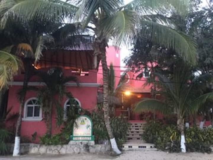 Sun Worshipper's - Akumal