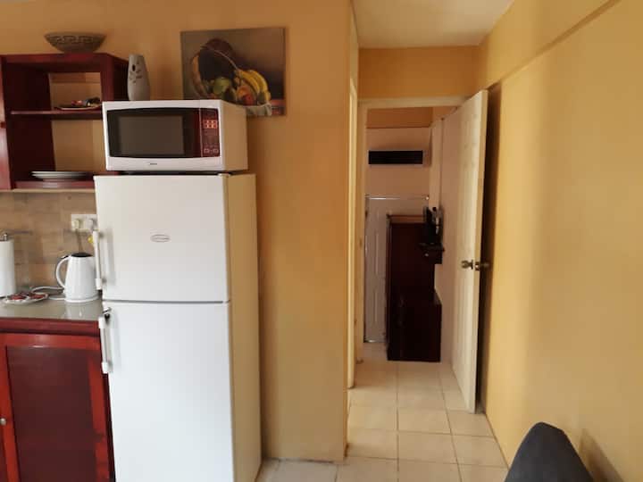 Home Style Apartment Z - Dominica