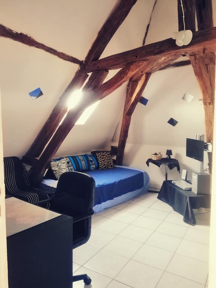 Chambre Double à Sens à 1 Heure De Paris En Train - Sens