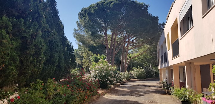 Corse Ile Rousse Studio 38m² à 5 Min De La Plage - L'Île-Rousse