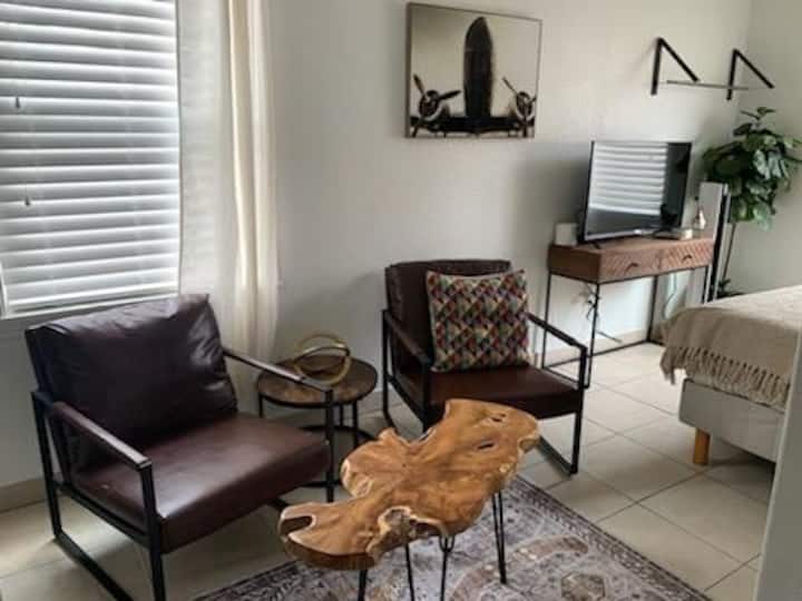 Charming Ybor Micro Unit. Quick Walk To  7th Ave. - Tampa, FL