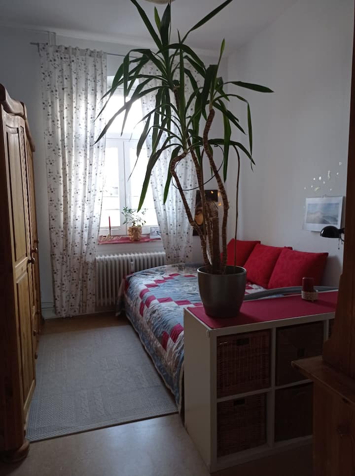 Schöner Zentraler Altbau Im Südviertel - Marburg