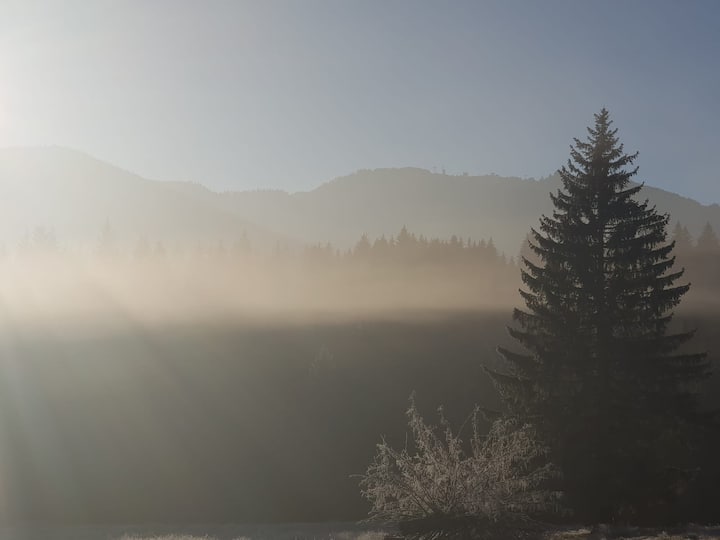 Luxury Chalet In Transylvania: Red Deer Lodge - Brașov
