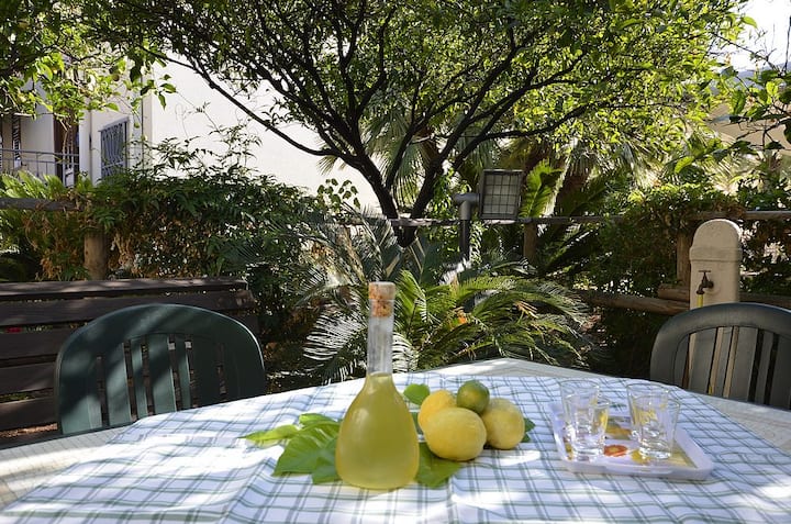Lemon Apartment - Case Vacanza Mimosa - San Vito Lo Capo
