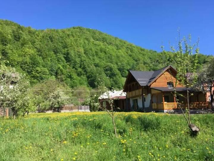 Casa Nova Vișeu - Vișeu de Sus