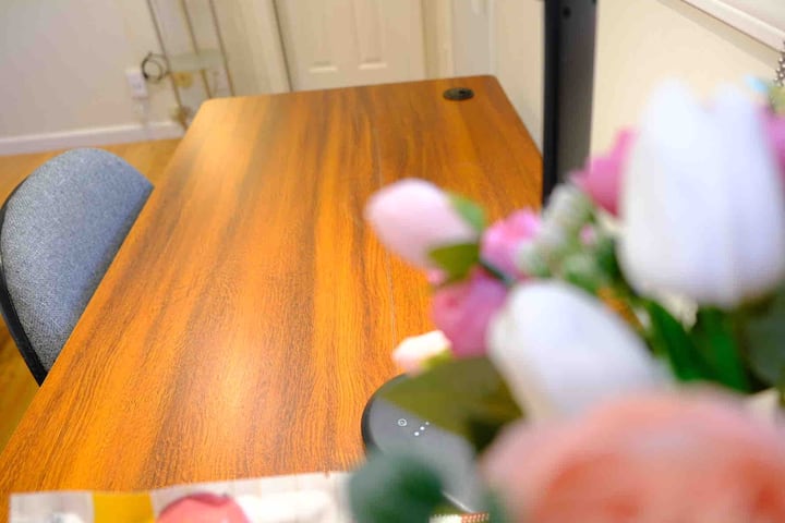 Private Entry, Newly Remodeled Guest Suite - San Jose, CA