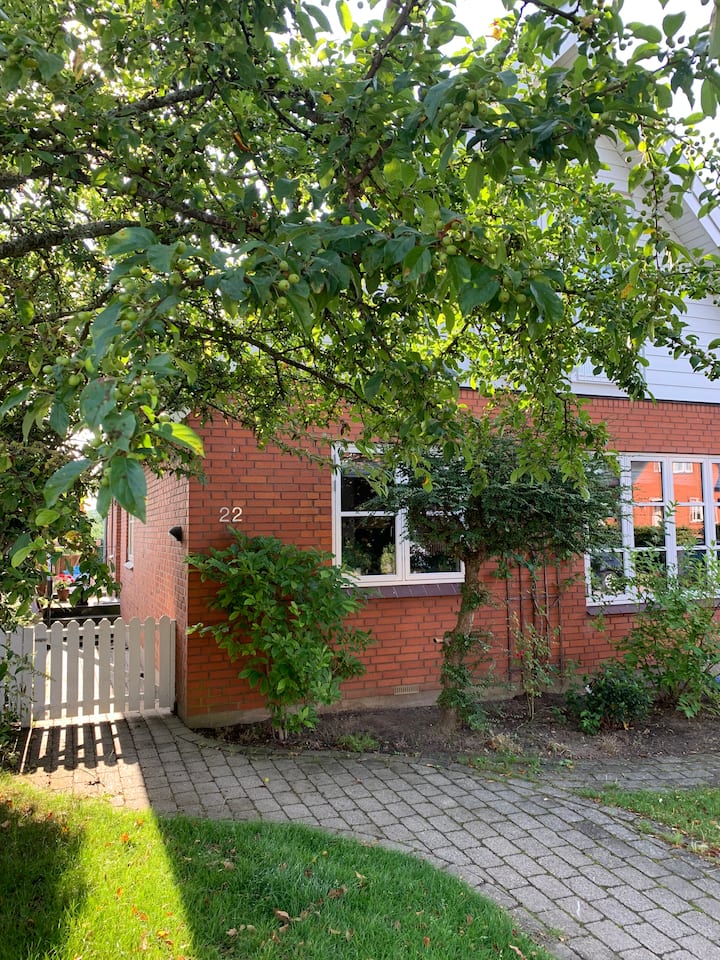 Skøn Villa Tæt På Odense Centrum - Odense