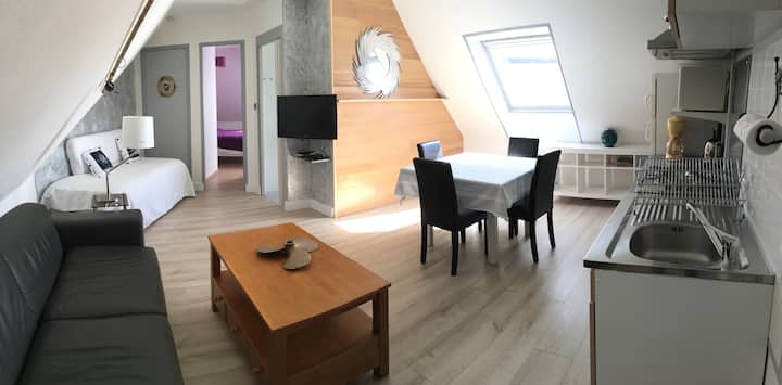 Grand Large, Appartement En Bord De Mer - Le Conquet