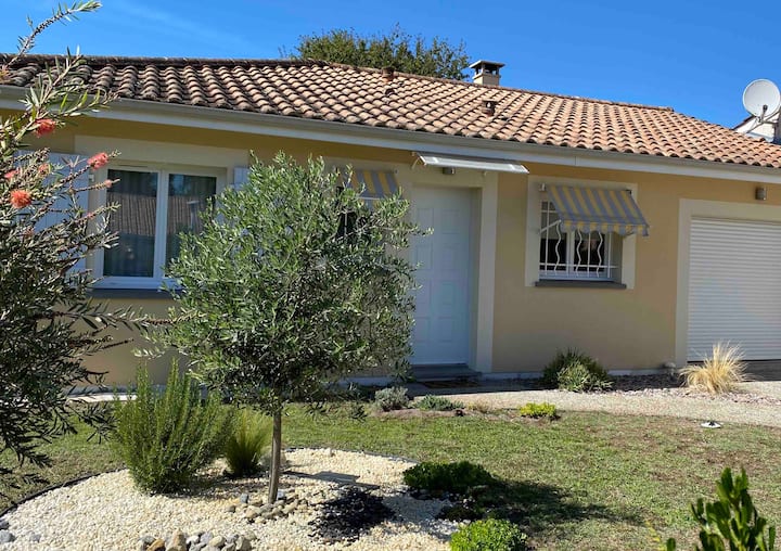 Agréable Maison Contemporaine Avec Jardin Arboré - Sanguinet