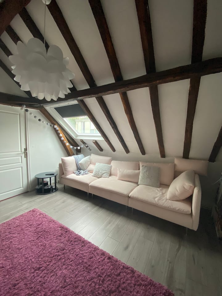 Jolie Chambre Dans Un Appartement En Centre Ville - Châteauroux