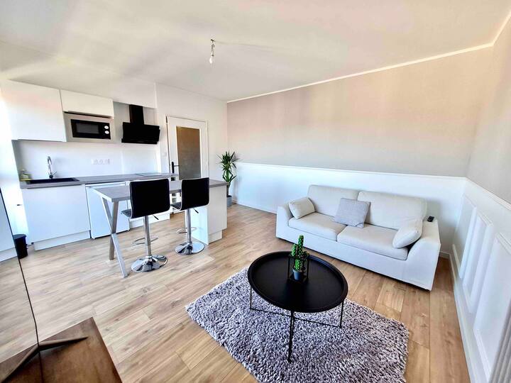 Superbe Appartement - Pau