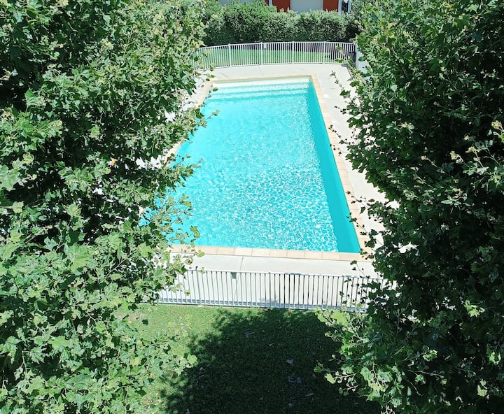 Grand Appartement Centre Avignon - Avignon