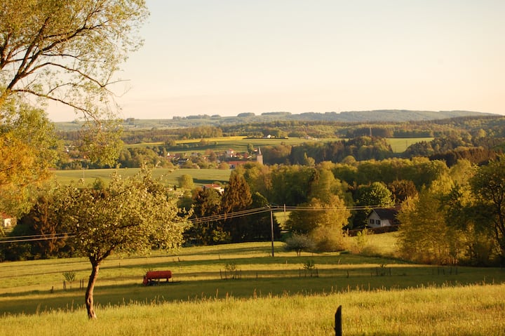 Gîte Pour 2 à 6 Pers. (Adapté Pmr) Près D’épinal - Vosges